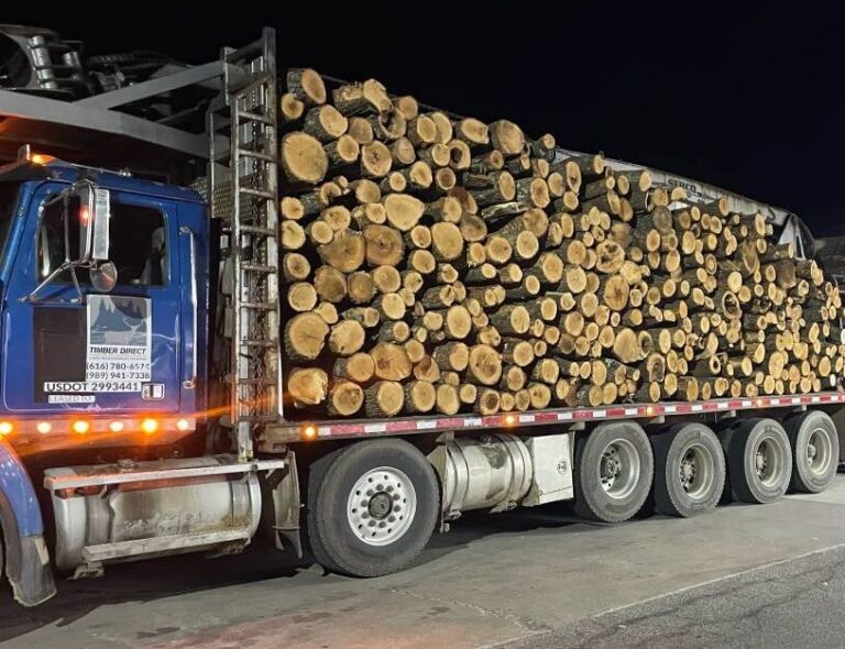 Timber Direct MI | Bulk firewood and expert timber services in Michigan ...